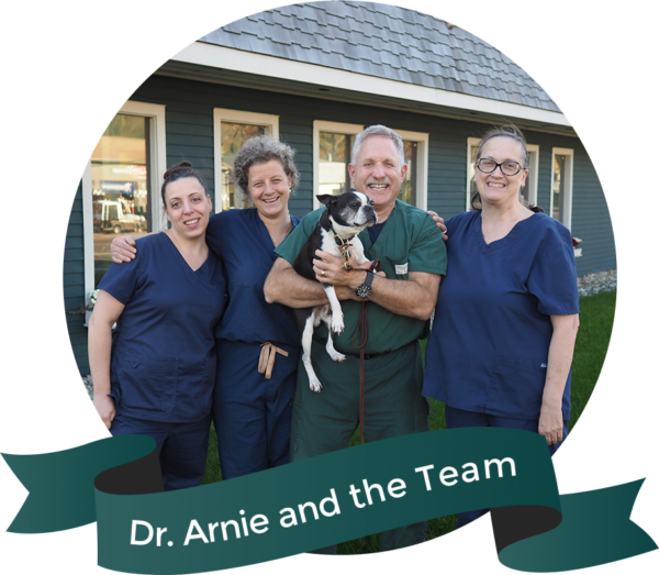 Canton Animal Hospital – Animal Care With A Personal Touch